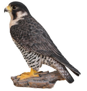 Hi-Line Gift Ltd. Peregrine Falcon Statue & Reviews | Wayfair