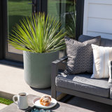 Wayfair | Indoor Planters You'll Love in 2022