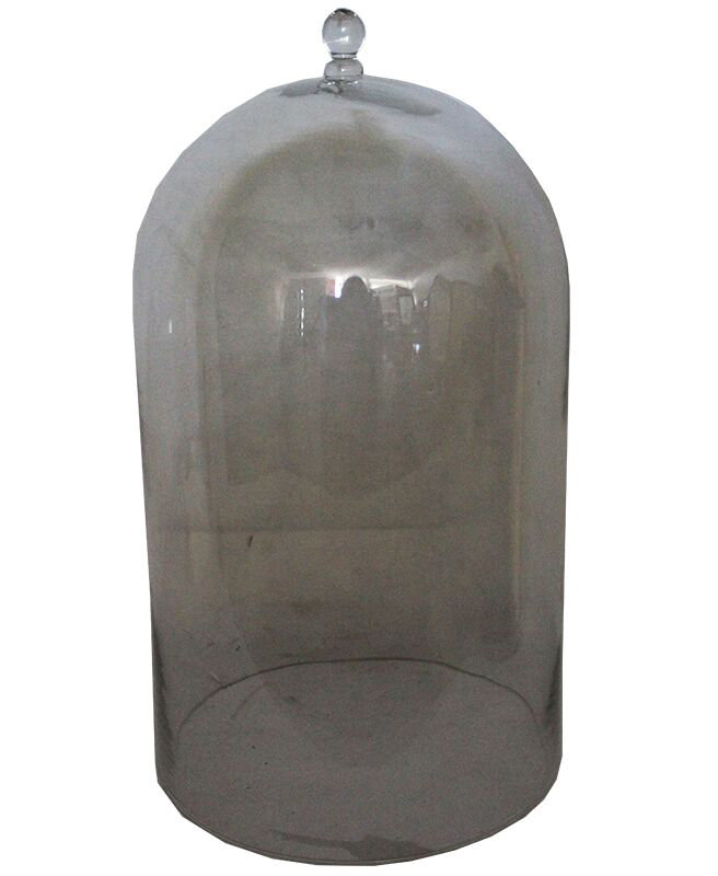 Gracie Oaks Modern Glass Cloche & Reviews | Wayfair