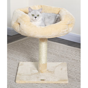 Wayfair | Elevated Cat Beds You'll Love in 2022