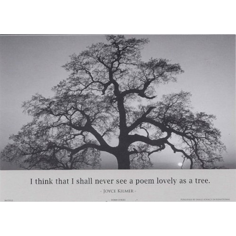 Vault W Artwork Ansel Adams Oak Tree by Ansel Adams - Unframed ...