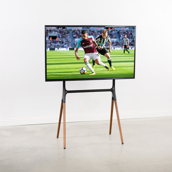Tv Easel Stand | Wayfair.ca