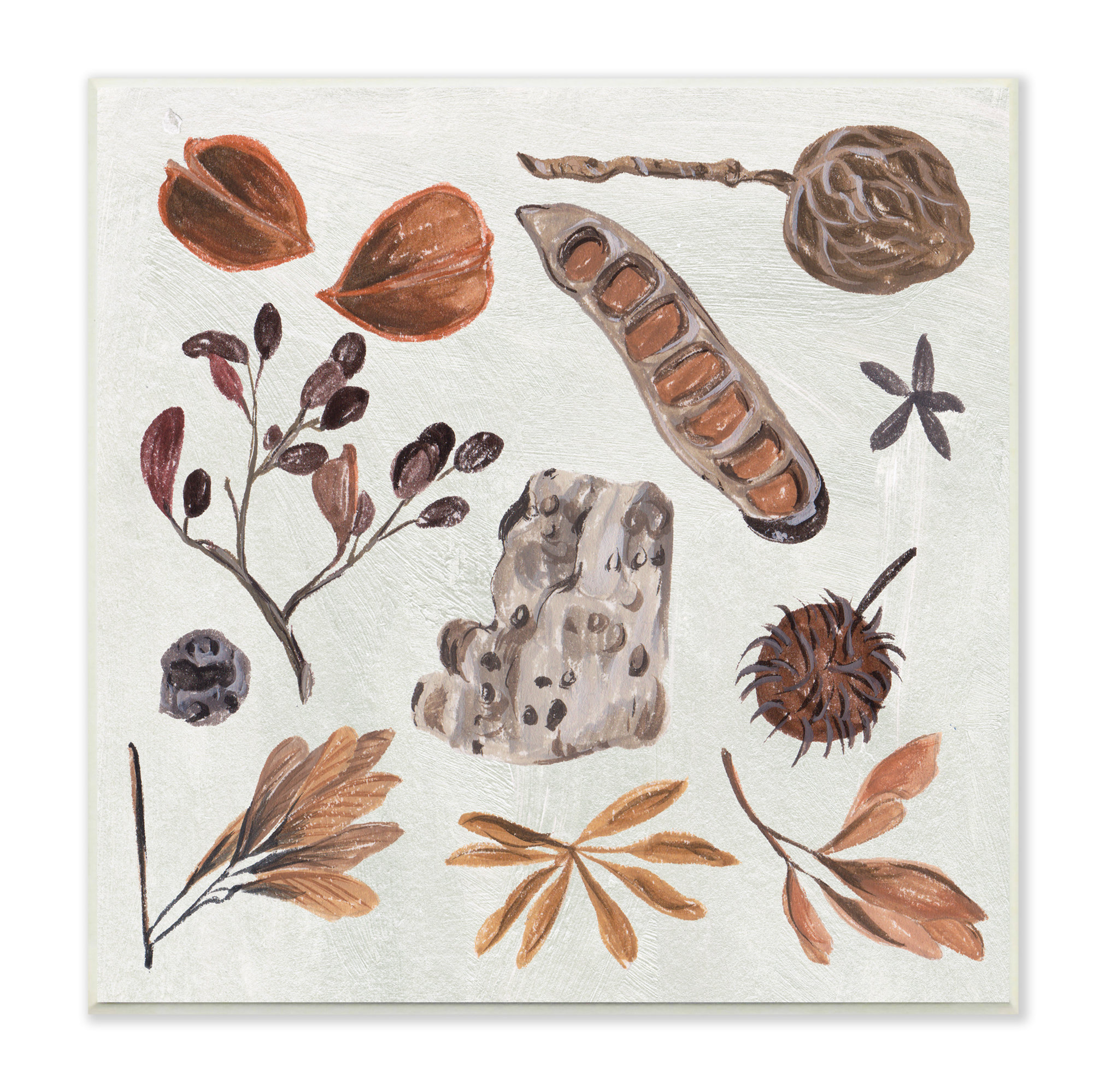 Stupell Industries Brown Seed Leaf Nut Botanicals Nature by - Painting ...