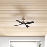 Wayfair | Ceiling Fans You'll Love in 2022