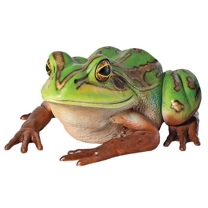 Design Toscano The Pine Barrens Giant Garden Tree Frog Statue & Reviews ...