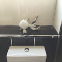 House Additions Large Puffa Fish Figurine & Reviews | Wayfair.co.uk