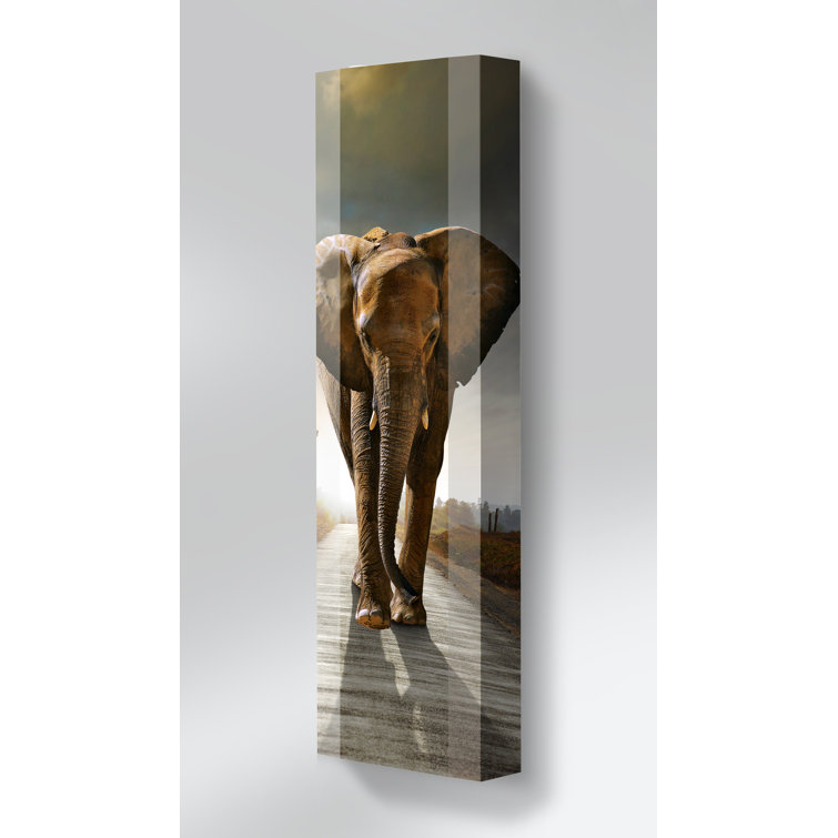 Bloomsbury Market Elephant 8 Pair Shoe Storage Cabinet | Wayfair.co.uk
