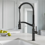Kitchen Faucets
