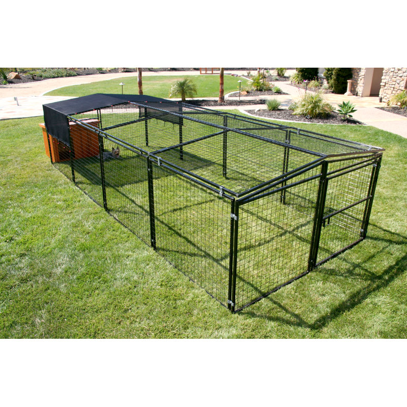 Welded Wire Chicken Run at Lloyd Sutton blog
