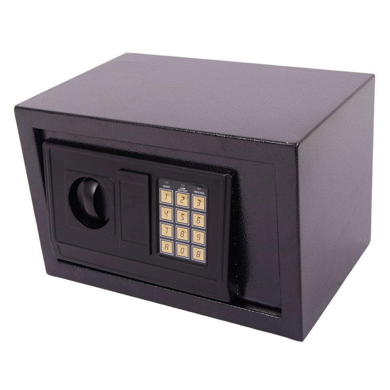 Ubesgoo Digital Steel Safe Box with Dual-Lock | Wayfair