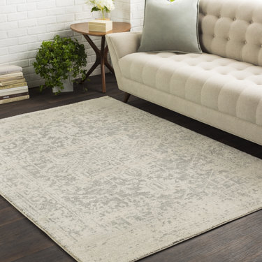 4x6 Entry Rug | Wayfair