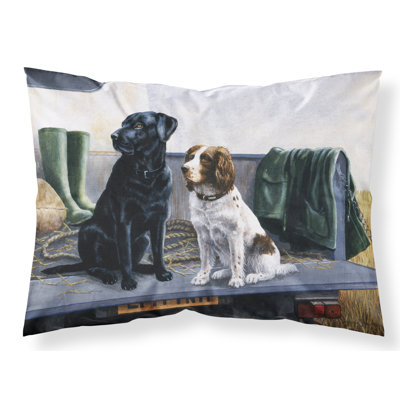 Labrador Sheets | Wayfair