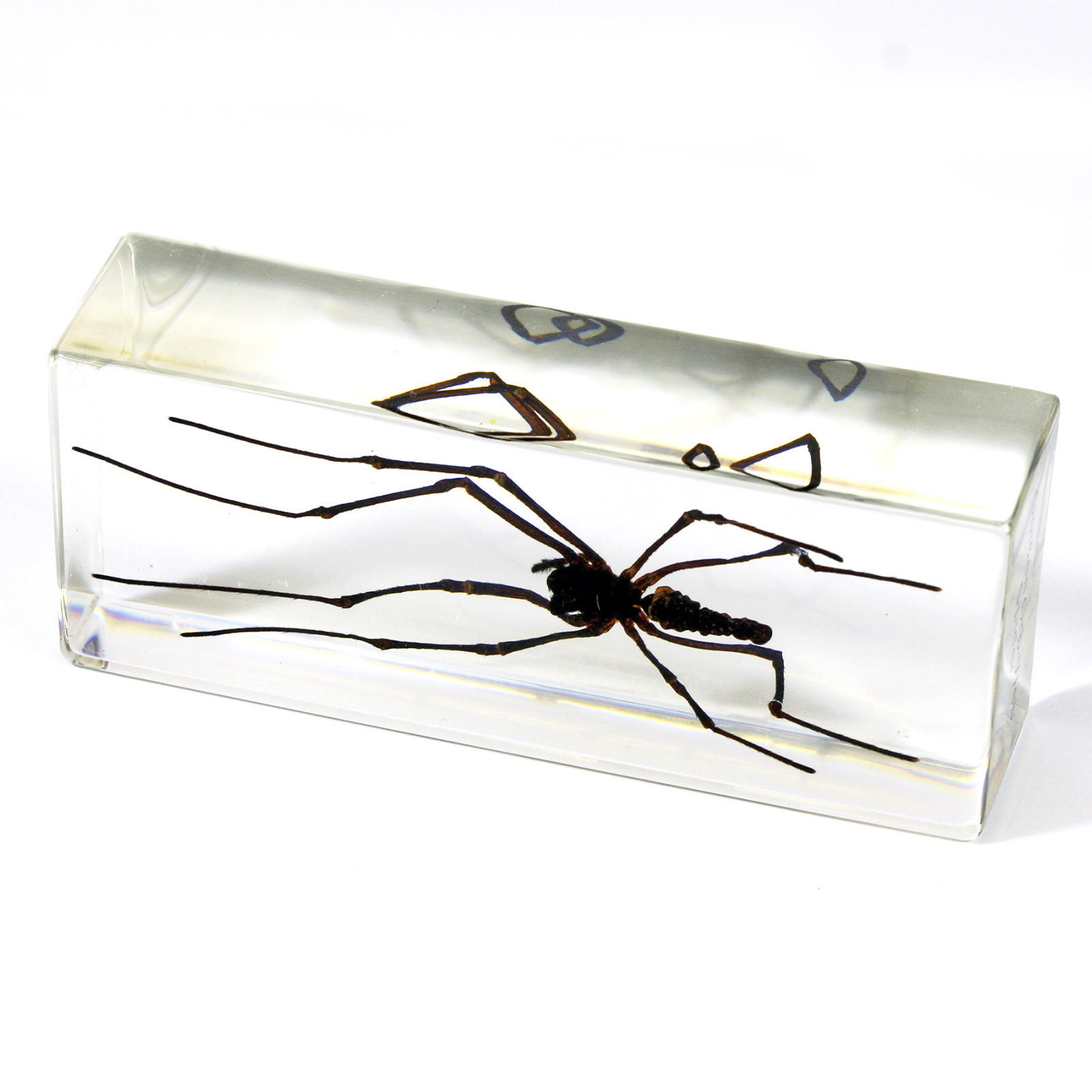 Rosalind Wheeler Quintanilla Spider Paperweight | Wayfair