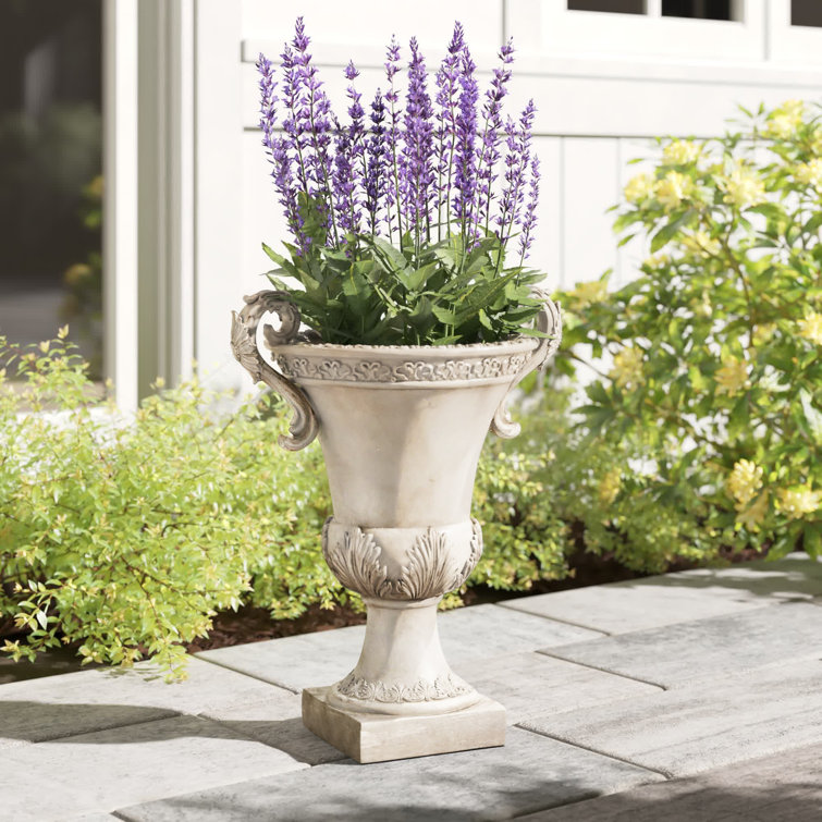 Sand & Stable Holborne Lightweight Concrete Urn Planter & Reviews ...