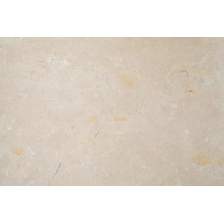 Stone & Tile Shoppe, Inc. 24" x 24" Marble Wall & Floor Tile | Wayfair