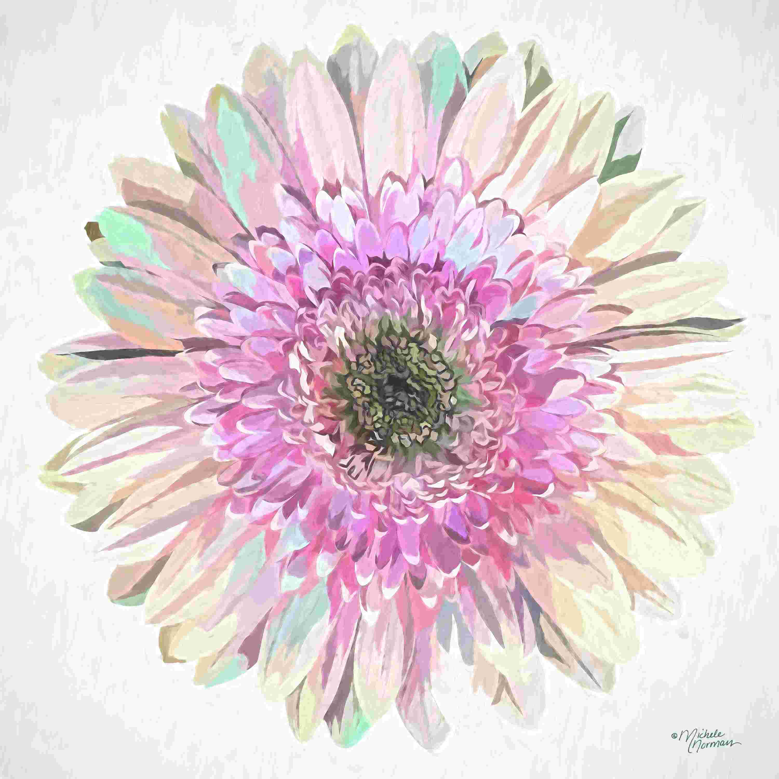 Red Barrel Studio® Gorgeous Gerber by Michele Norman - Wrapped Canvas ...