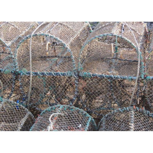 Lobster-rug | Wayfair