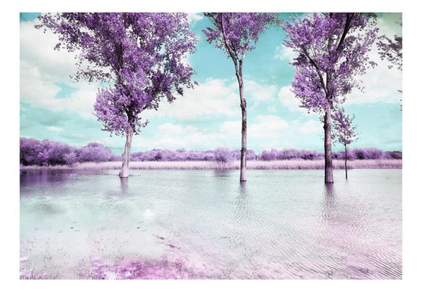 Rosecliff Heights Alage Wallpaper | Wayfair