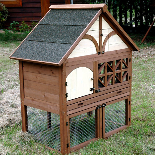 Tucker Murphy Pet™ Louise Weather Resistant Hutch with Ramp & Reviews ...