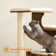 Archie & Oscar™ Mallett 34" Cat Tree & Reviews | Wayfair