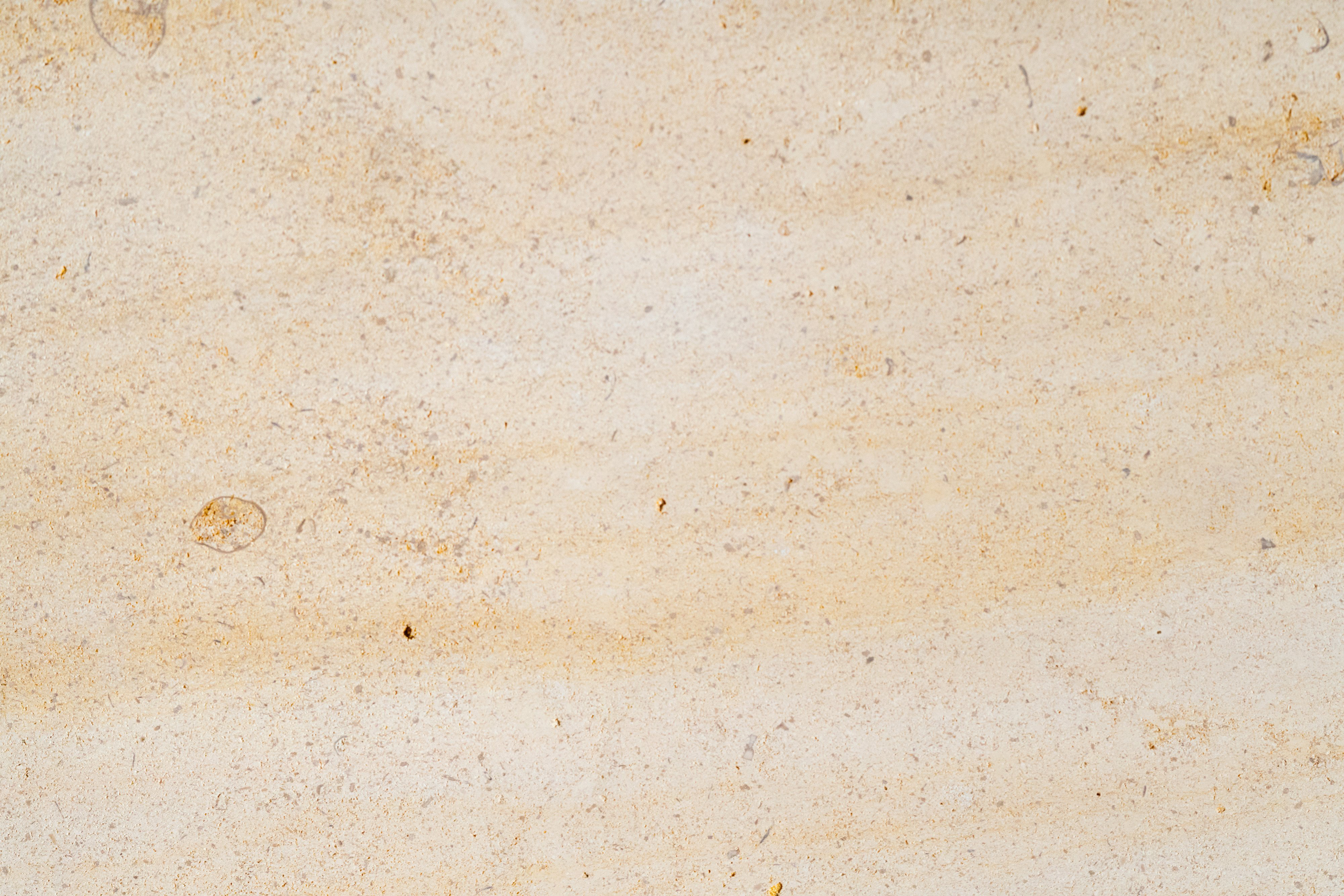 Stone & Tile Shoppe, Inc. Beaumanier 24" x 24" Limestone Stone Look ...