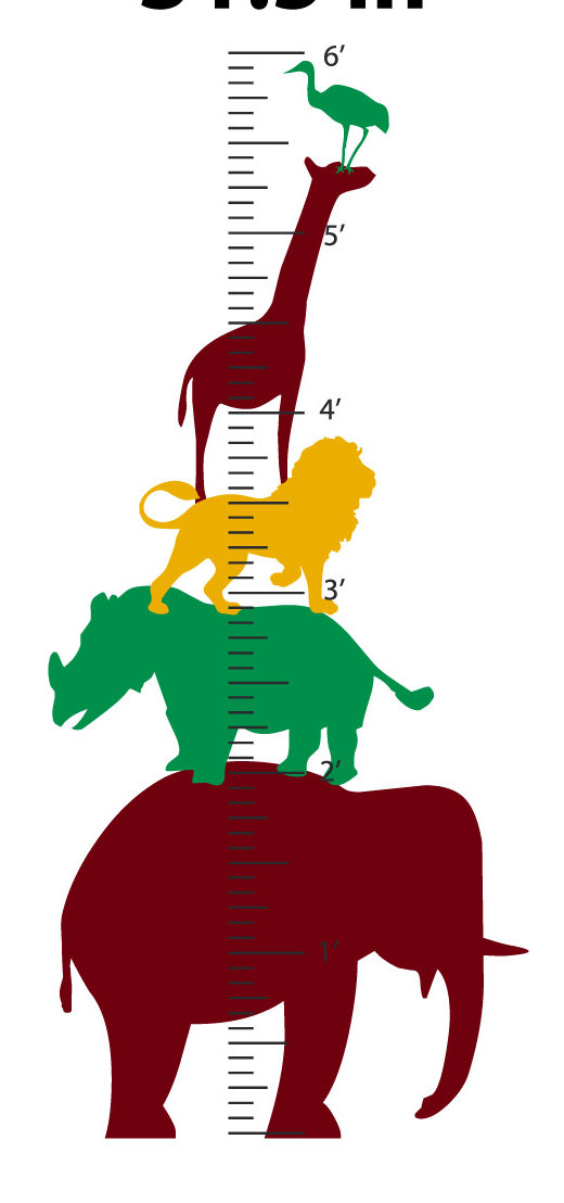 The Decal Guru Animal Growth Chart Wall Decal | Wayfair