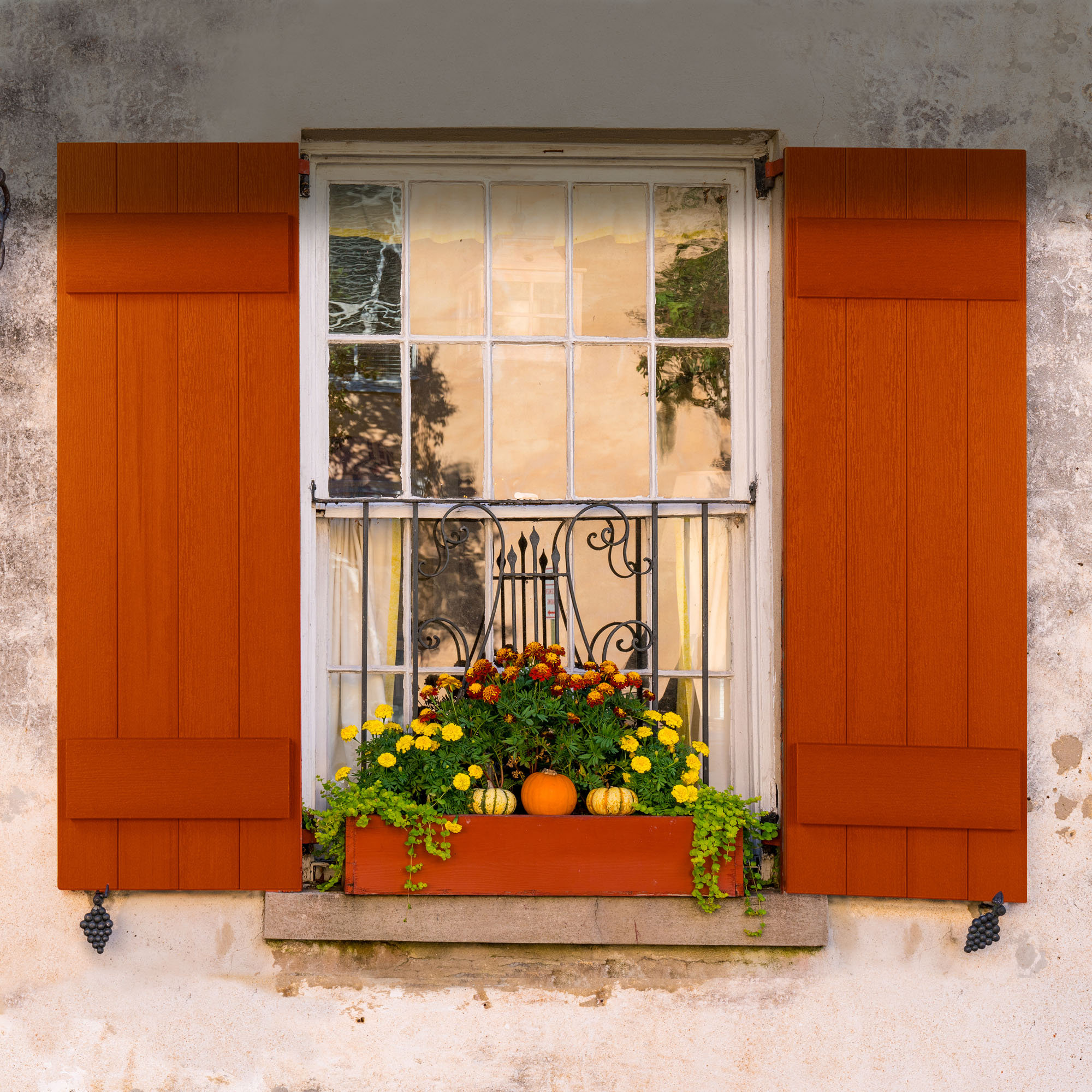 Highwood USA Stonecroft Shutter | Wayfair