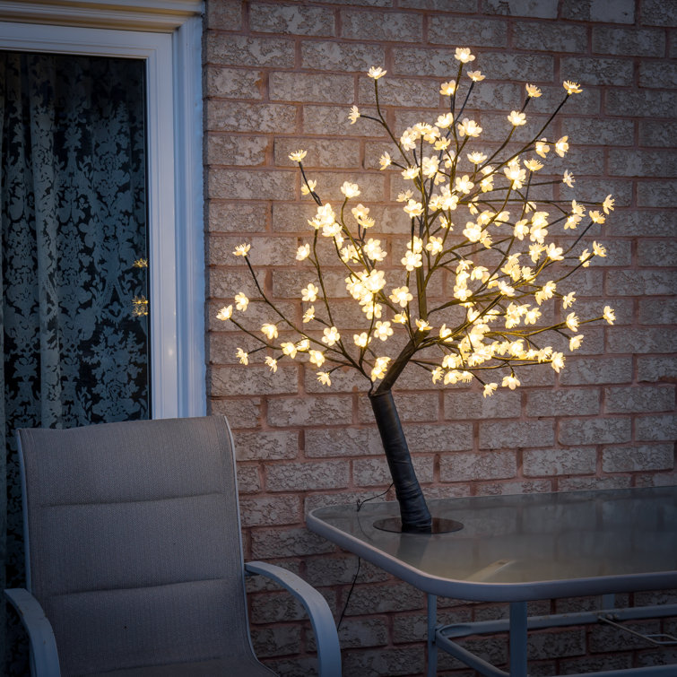Hi-Line Gift Ltd. Blossom Tree String Lights & Reviews | Wayfair.ca