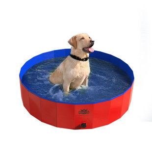 Wayfair | Dog Grooming Tables & Bath Tubs