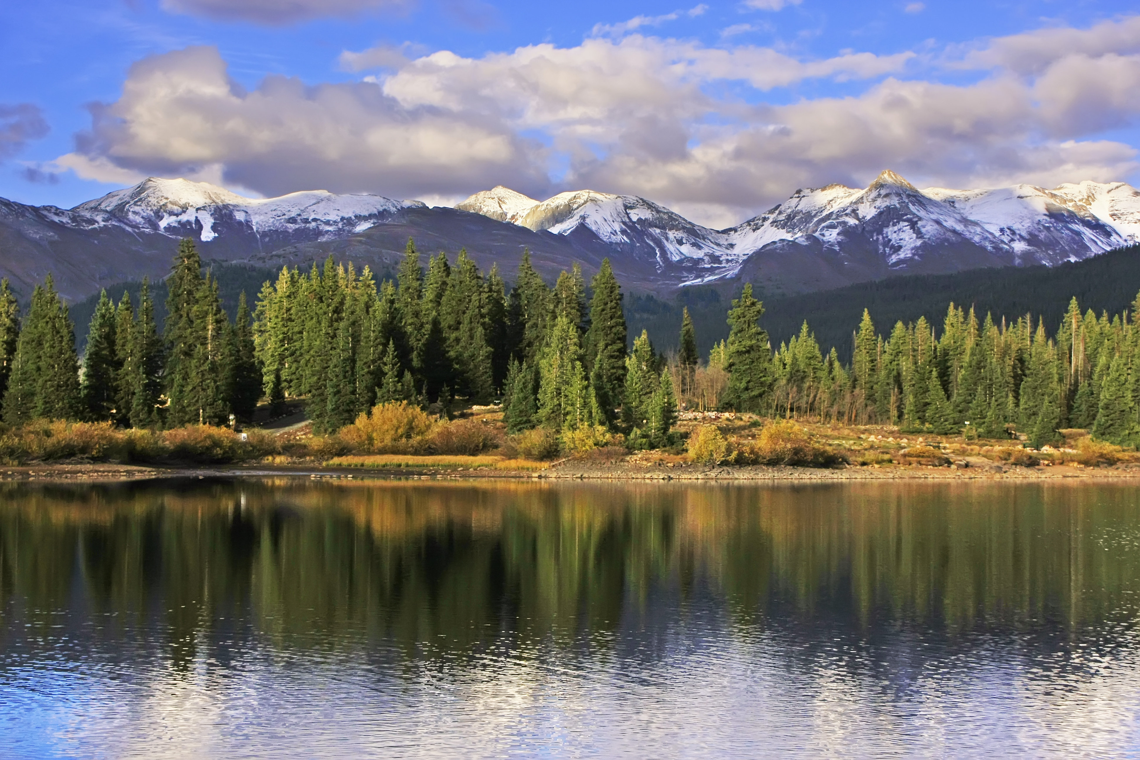 Millwood Pines Molas Lake, Colorado - Wrapped Canvas Photograph | Wayfair