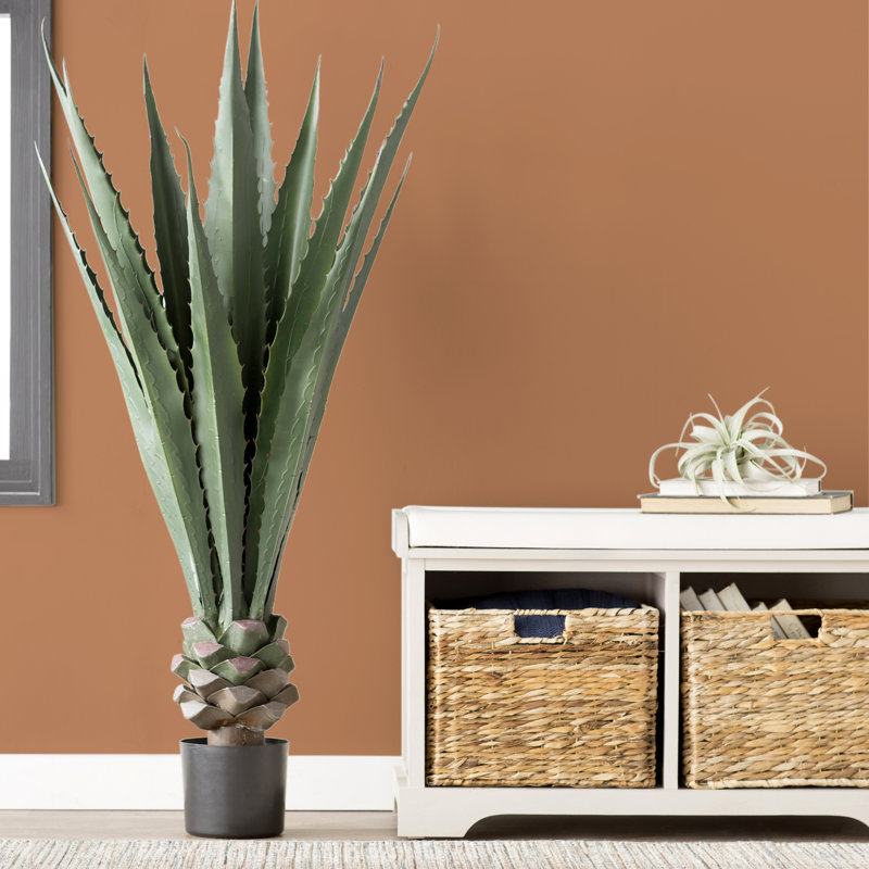 Trent Austin Design® Giant Agave Plant in Planter & Reviews | Wayfair