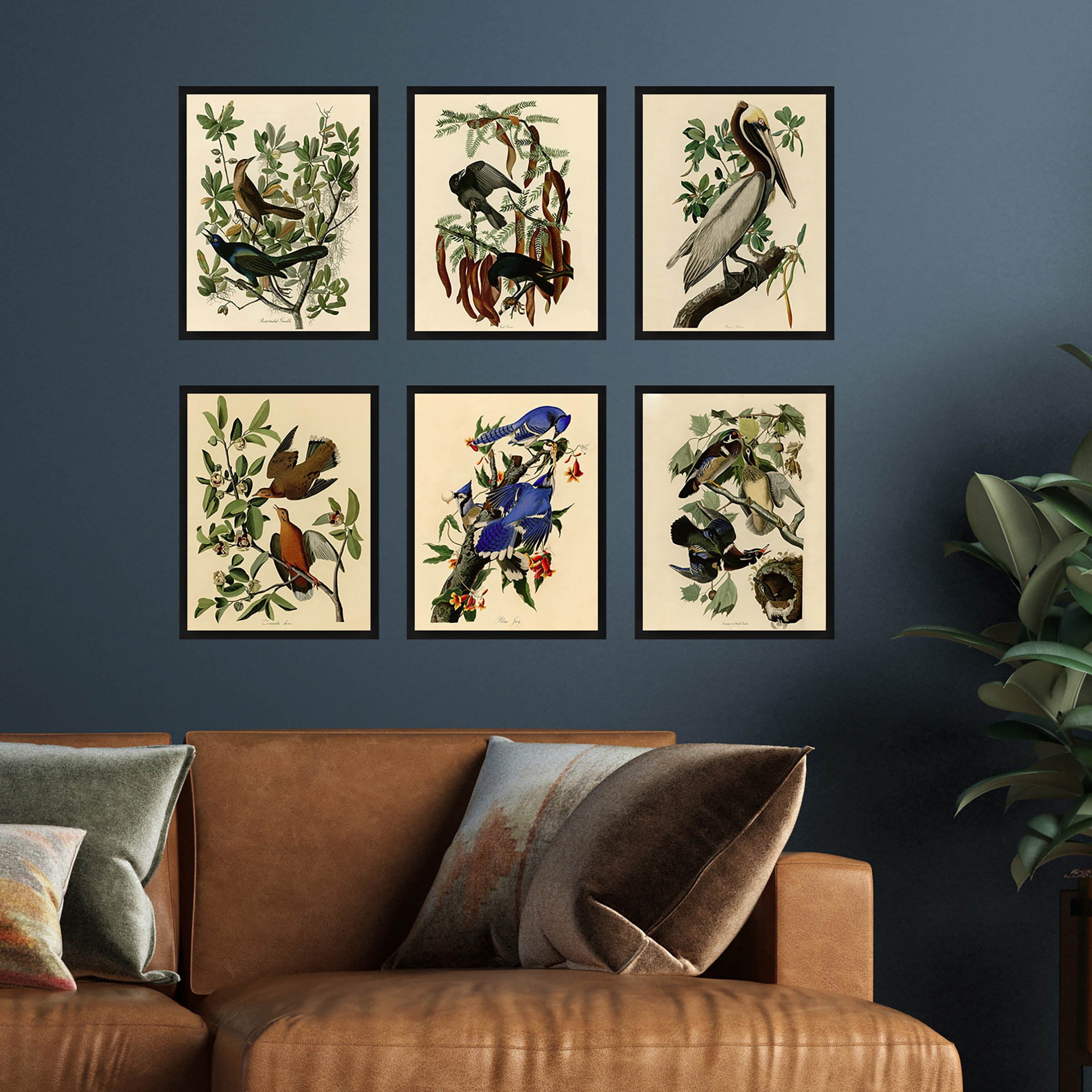 Red Barrel Studio® Audubon Framed On 6 Pieces by James Audubon Graphic ...
