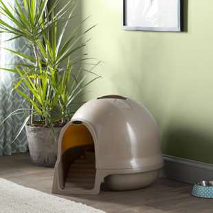 Wayfair | Round Litter Boxes You'll Love in 2021