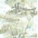 Alcott Hill® Lowery Trees 32.81' L x 20.5" W Wallpaper Roll | Wayfair