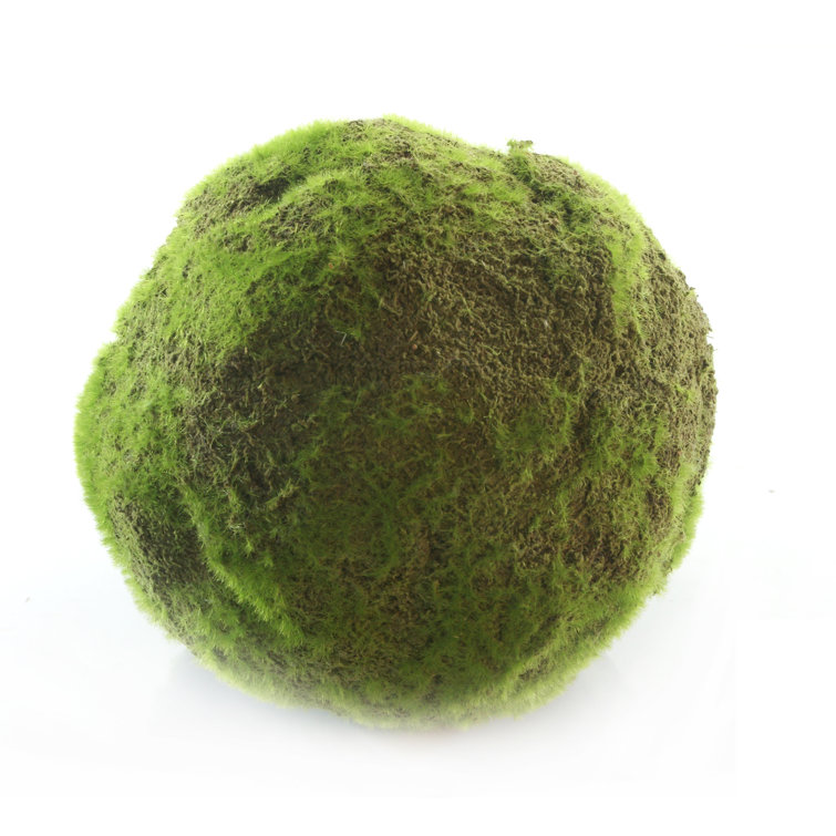 Gold Eagle USA Decorative Moss Ball | Wayfair