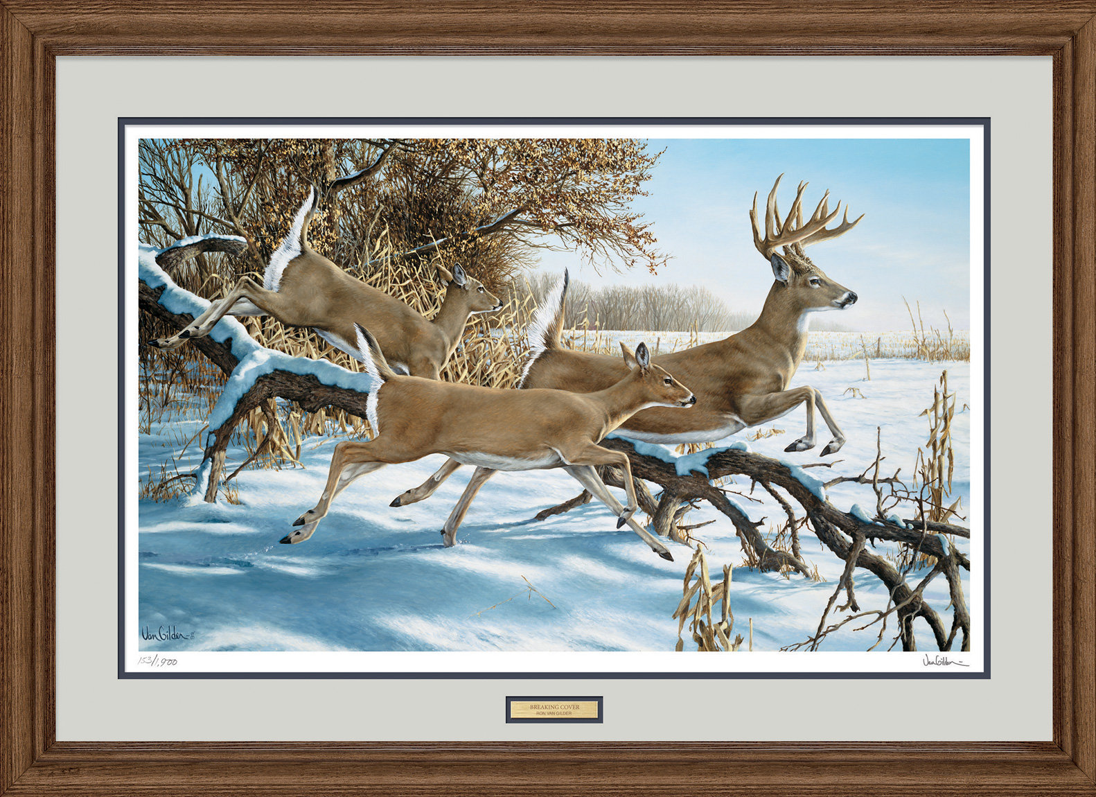 WildWings Ron Van Gilder - Picture Frame Print | Wayfair