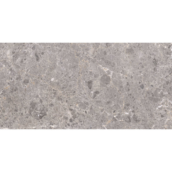 Mirrella Terrazzo 24" x 47" Porcelain Wall & Floor Tile | Wayfair
