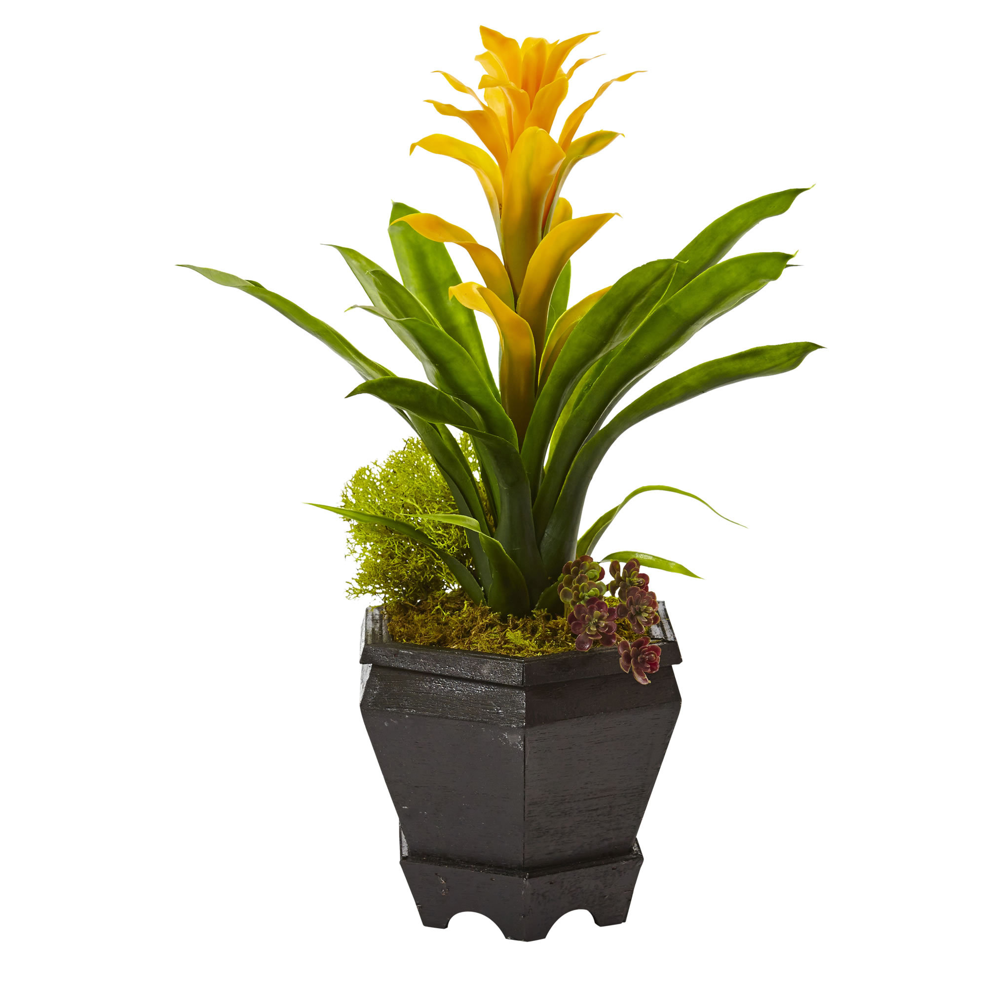 Primrue Bromeliad Floral Arrangements in Planter & Reviews | Wayfair