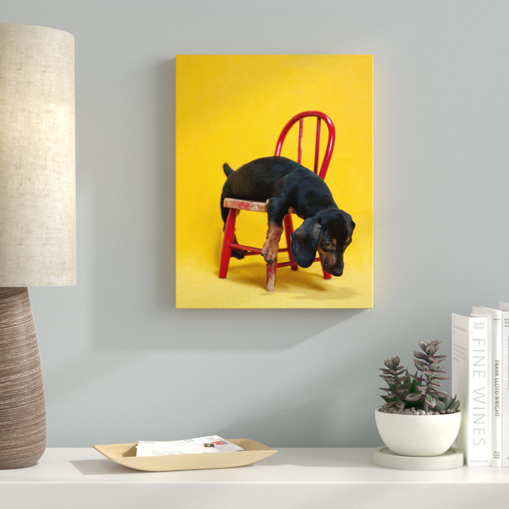 Ebern Designs Catherine Ledner - Wrapped Canvas Photograph | Wayfair