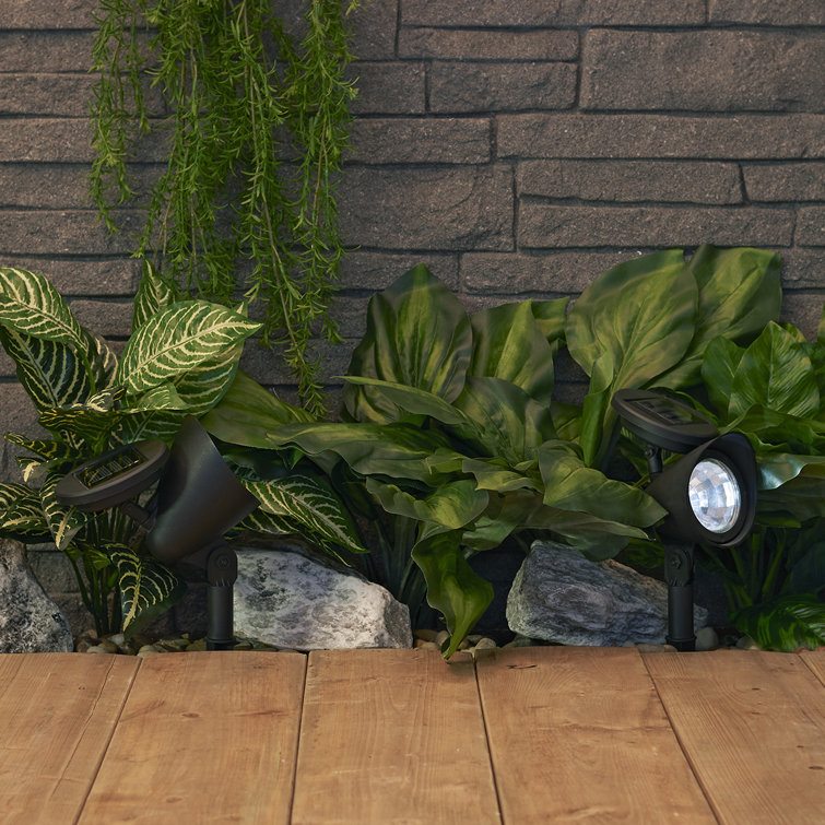 Sterno Home Black Low Voltage Solar Powered Pathway Light Pack ...