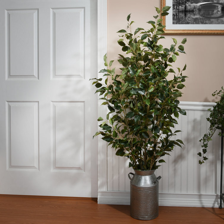 Freeport Park® 55" Artificial Ficus Tree in Planter & Reviews | Wayfair