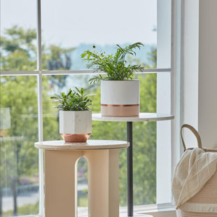 Wayfair | Ceramic Planters You'll Love in 2022