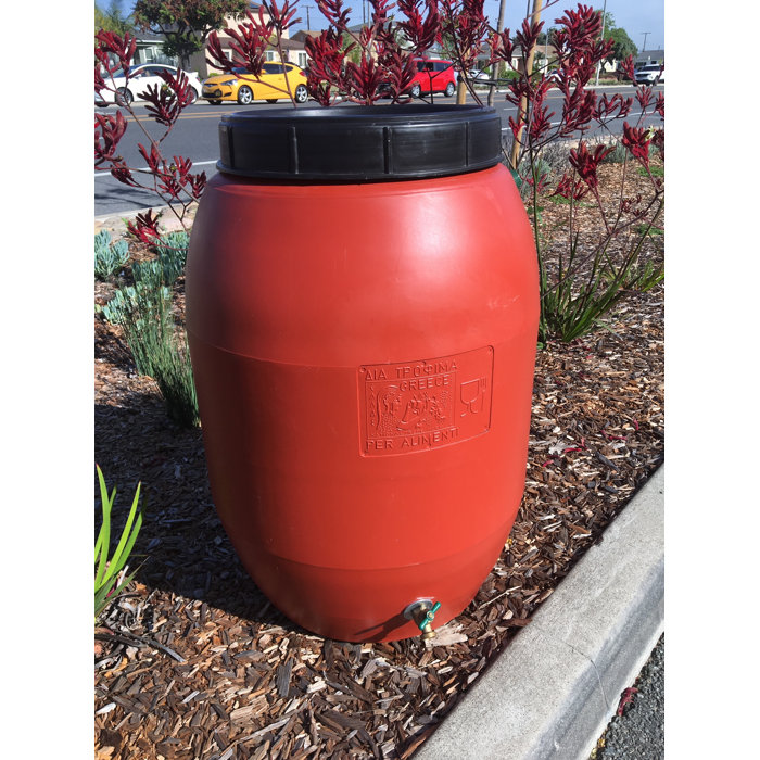 Rain Barrels Intl. Plastic Drainable Rain Barrel & Reviews | Wayfair