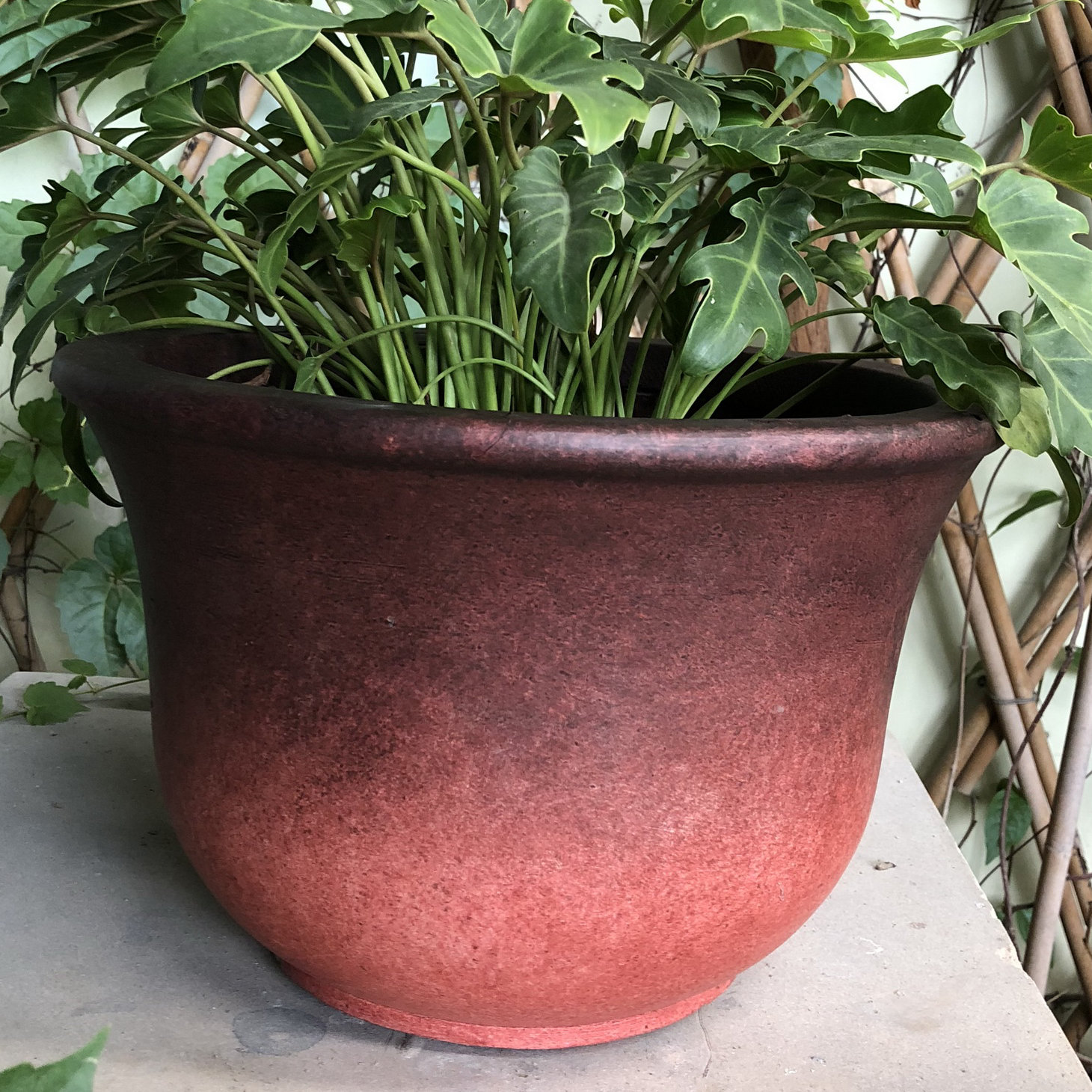 World Menagerie Marisol Low Bell Pot Planter | Wayfair