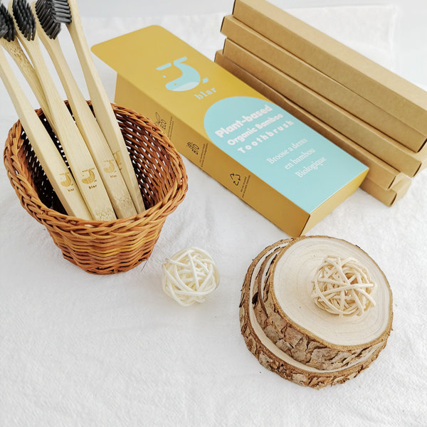 Blar Biodegradable Toothbrush Holder & Reviews | Wayfair
