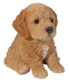 Hi-Line Gift Ltd. Sitting Cockapoo Puppy Statue & Reviews | Wayfair