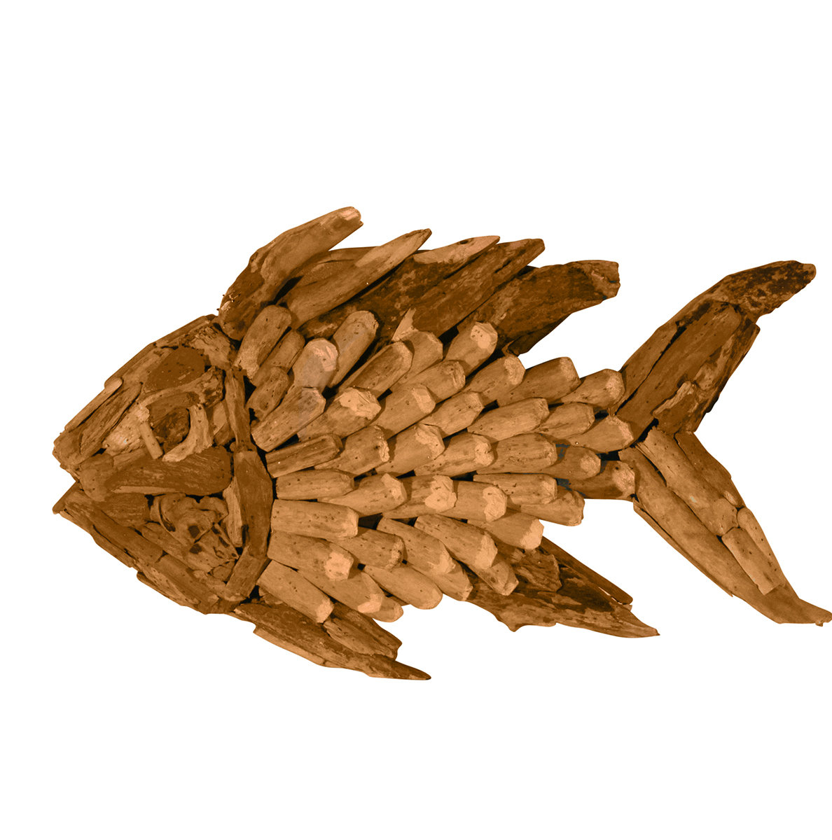 Ibolili Small Driftwood Angel Fish Wall Décor & Reviews | Wayfair