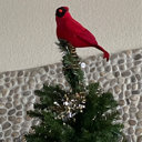 The Holiday Aisle® Holly Feather Cardinal Tree Topper & Reviews | Wayfair