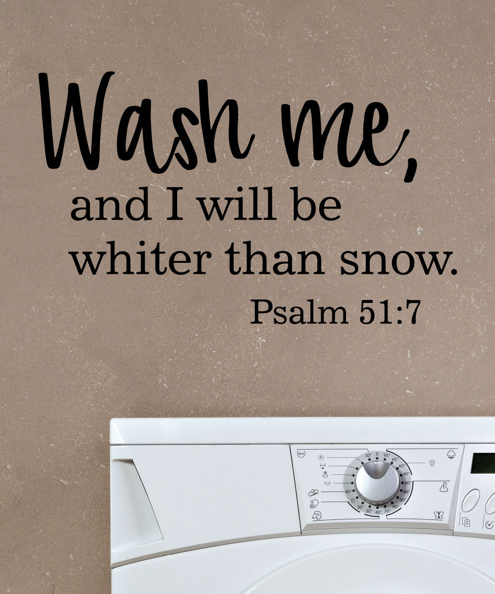 Belvedere Designs LLC Wash Me Wall Decal | Wayfair