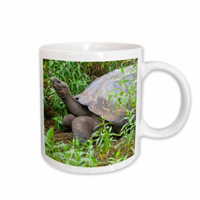 Tortoise Shell Glassware | Wayfair